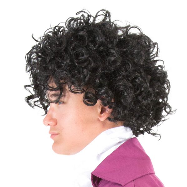 Adult Black Curly Prince Wig - Costume Agent