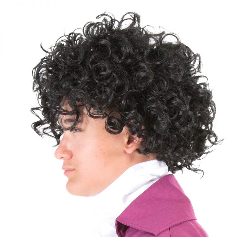 Adult Black Curly Prince Wig - Costume Agent
